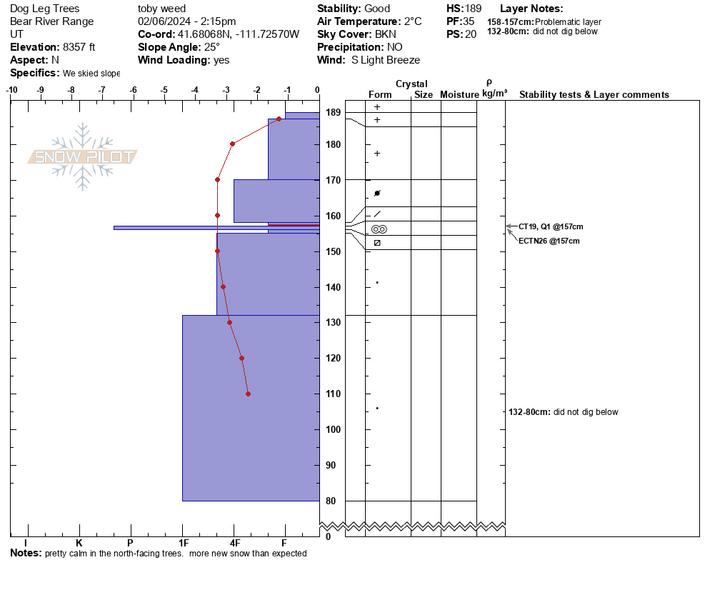 Observation: Dog Leg Trees - Utah Avalanche Center